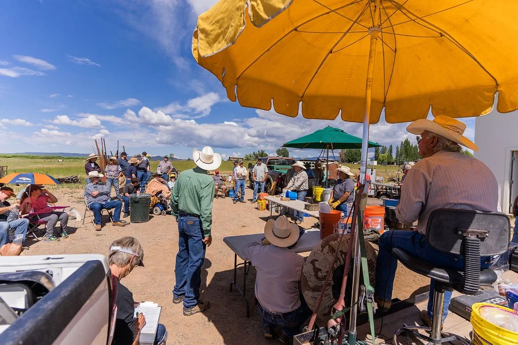 Treasure Auction