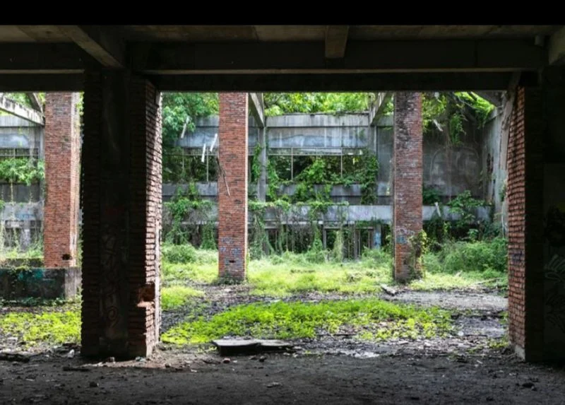 Experience “Art of the Senses” at Jia Curated Kiosks 2024 — alvinT