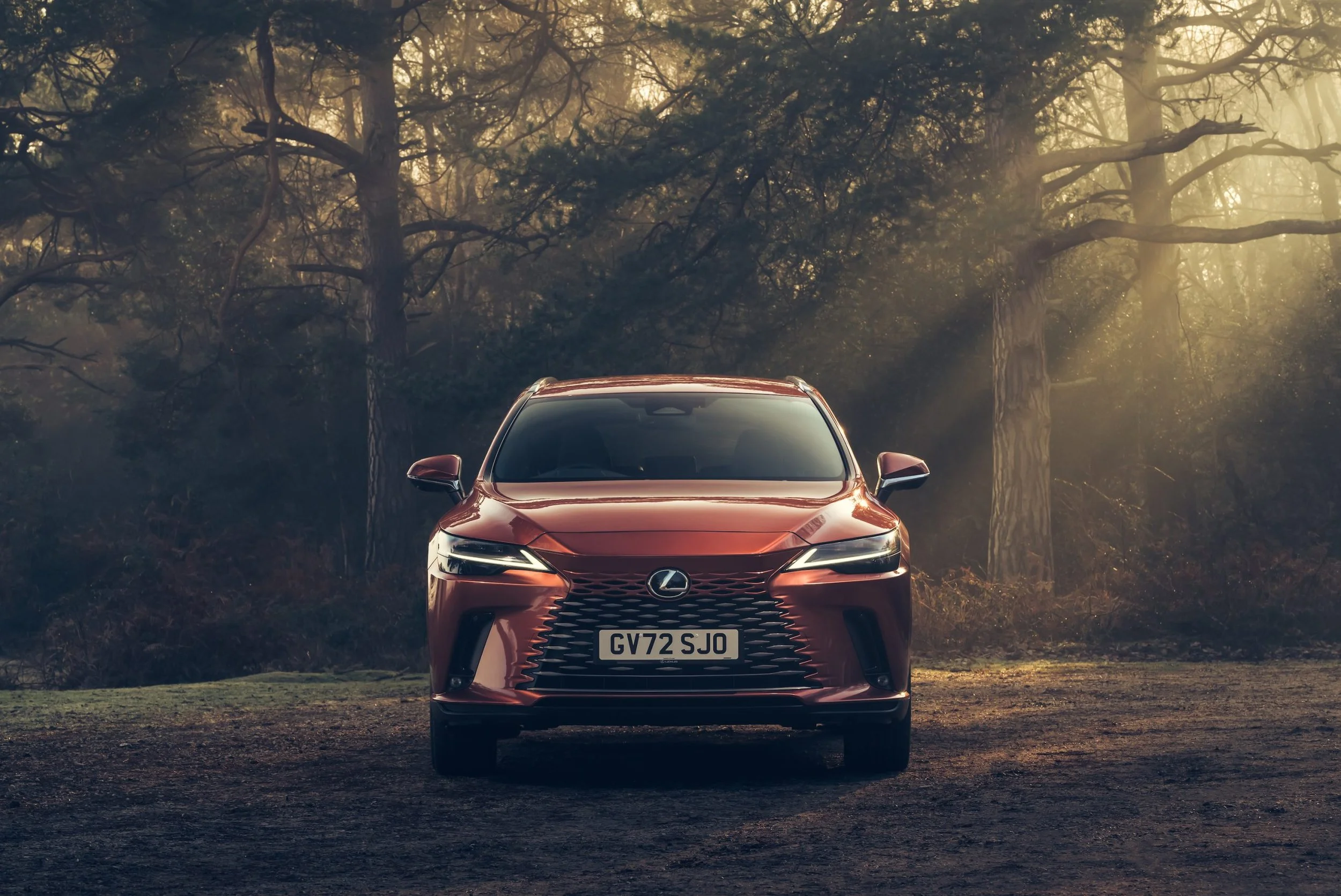 Lexus RX 450h - The Plush Plug-in — Driven