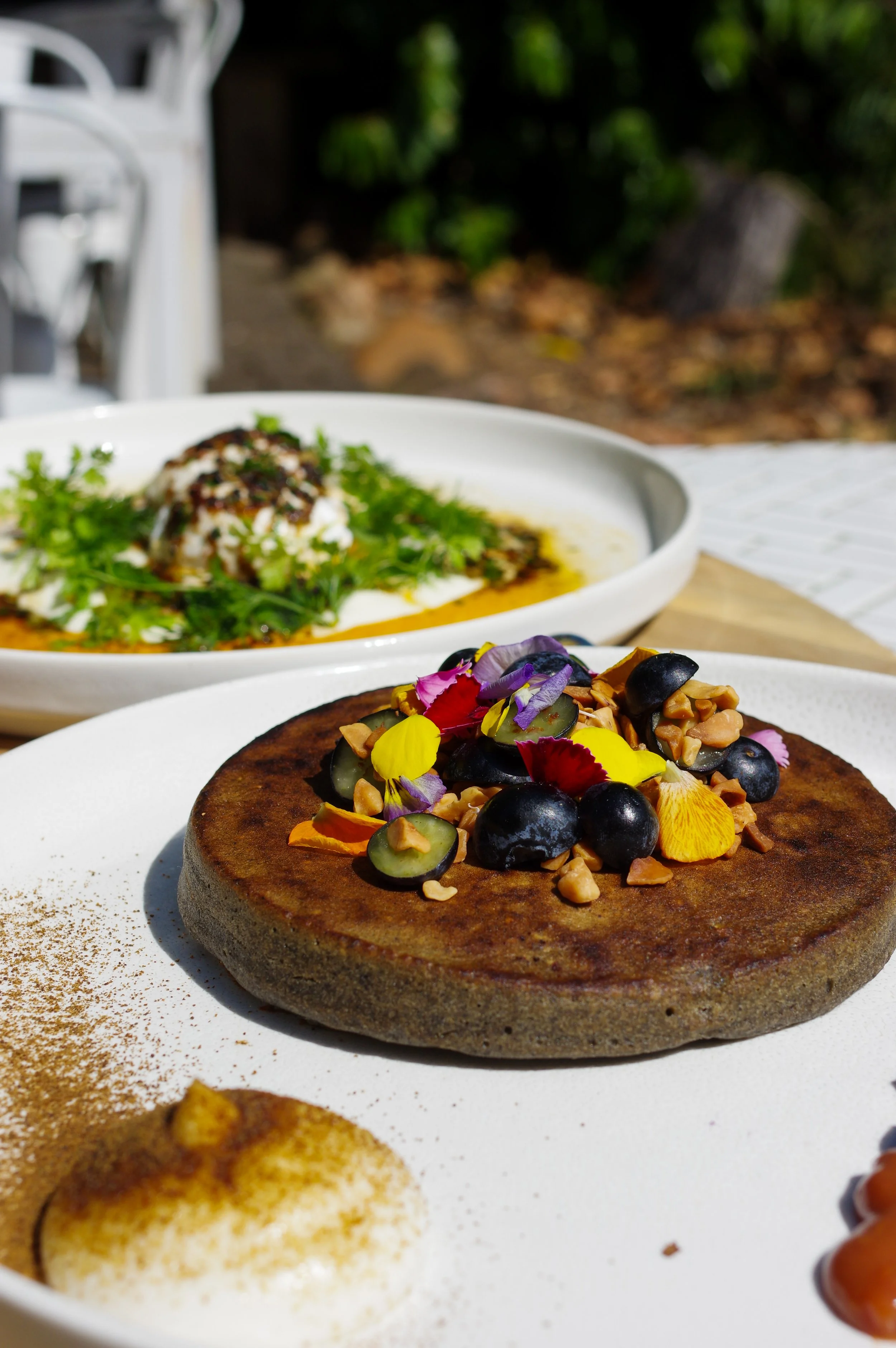 Menu — Fairhill Native Botanic Gardens and Nursery