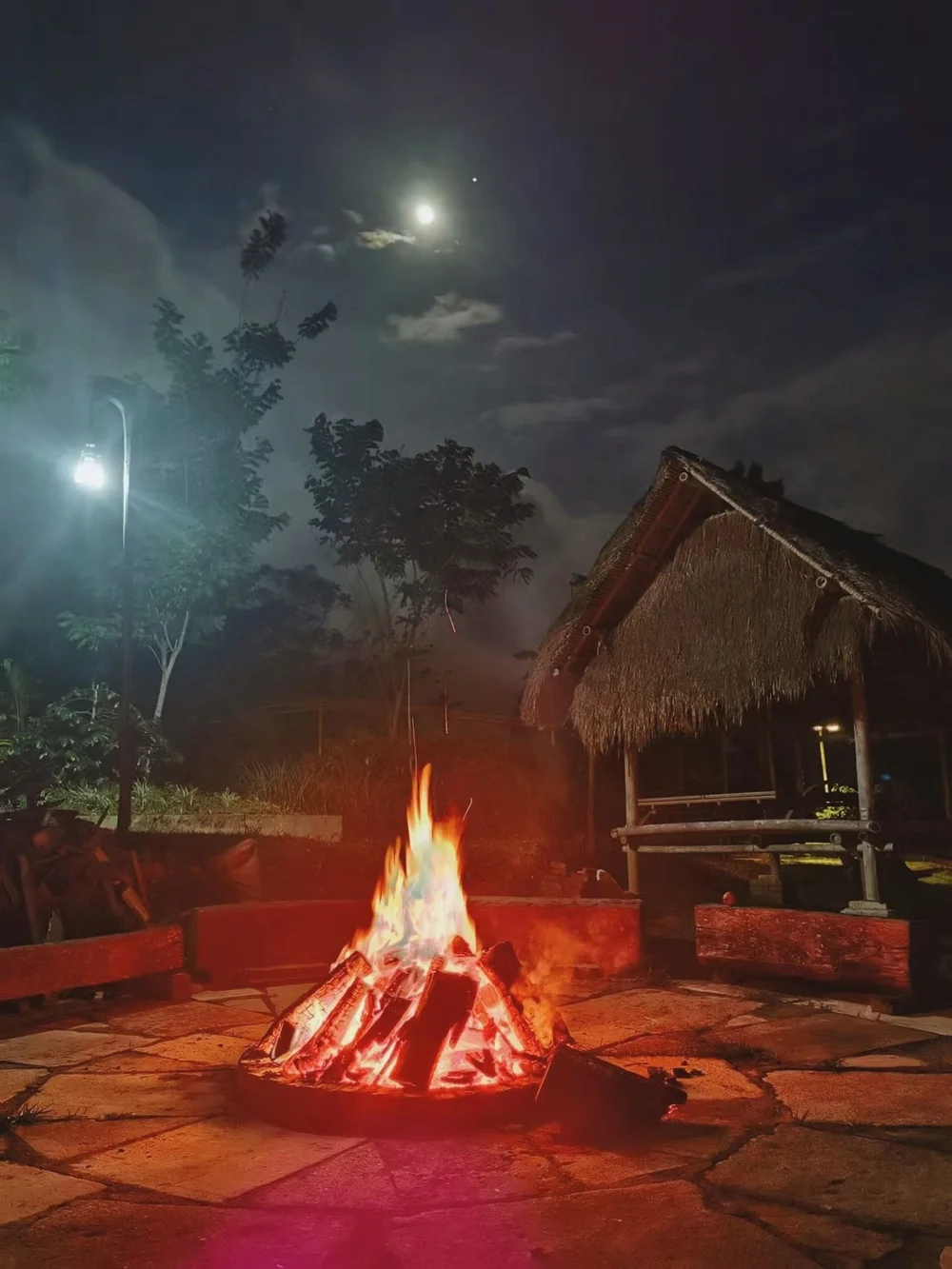 Somatic Dance Training Level 1 - Bali — Sarsha Hope