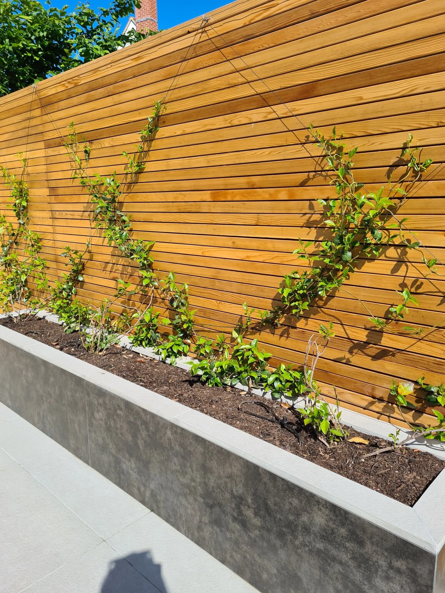 Garden Gallery — Rose Hill Design