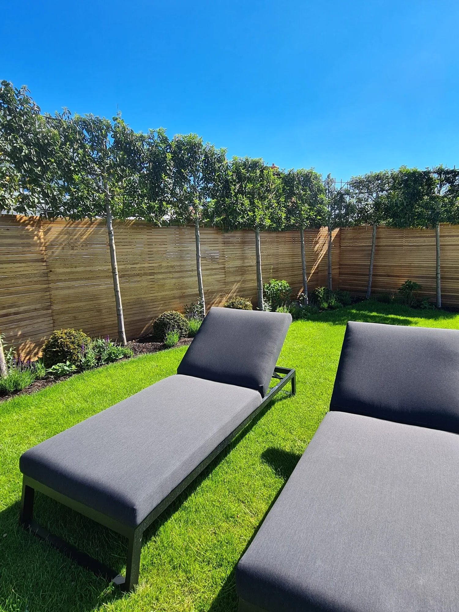 Garden Gallery — Rose Hill Design