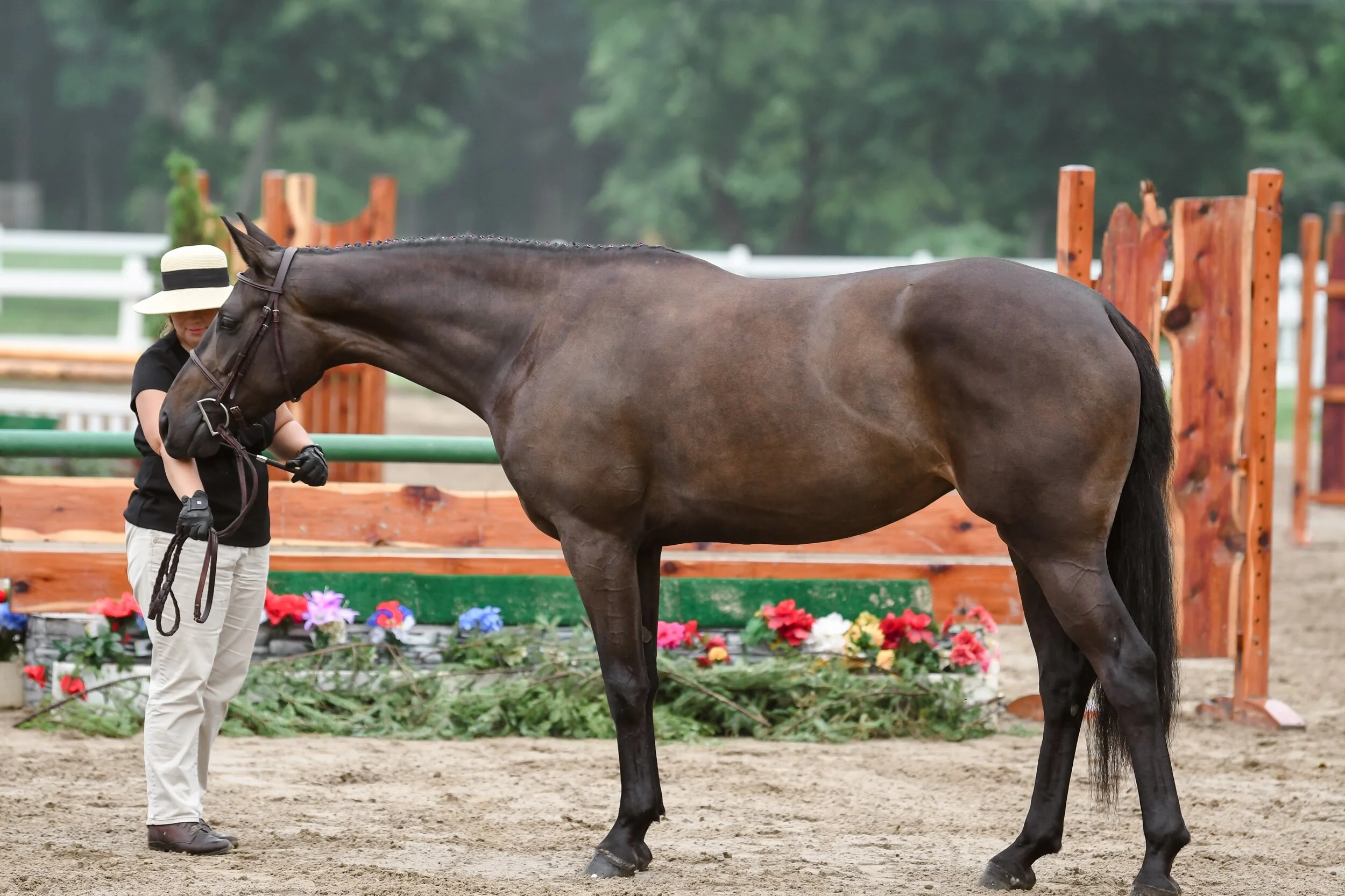 Sales — Eastfield Farm LLC