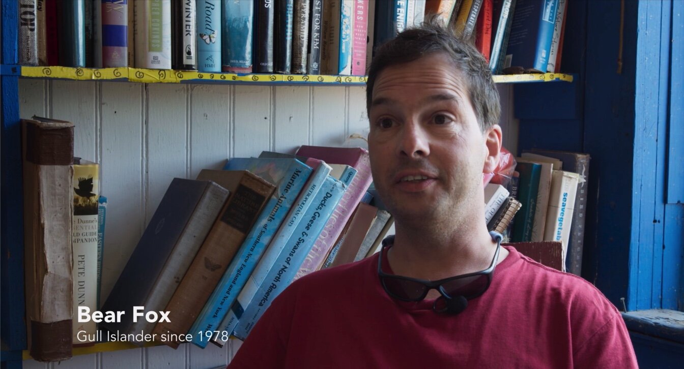 Great Gull Island Project — Taking Flight Productions