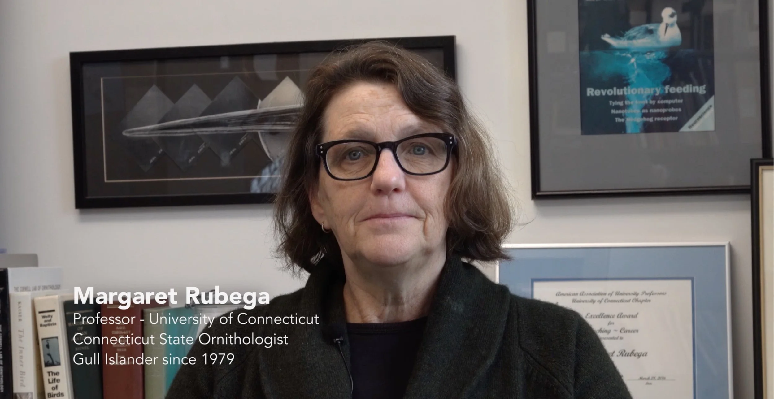 Great Gull Island Project — Taking Flight Productions