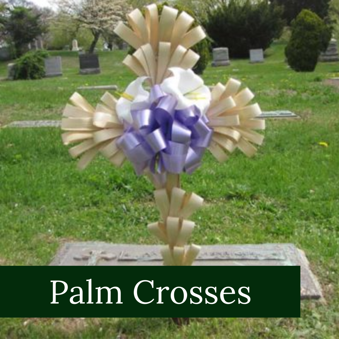 A&M Palm - Premium palm strips for Palm Sunday