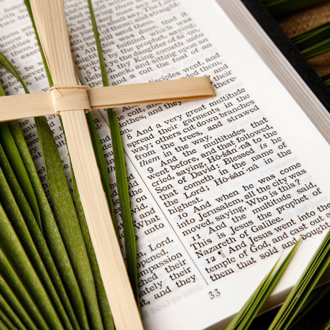 Palm Strip Leaves for Palm Sunday - 40" Extra Long — A&M Palm
