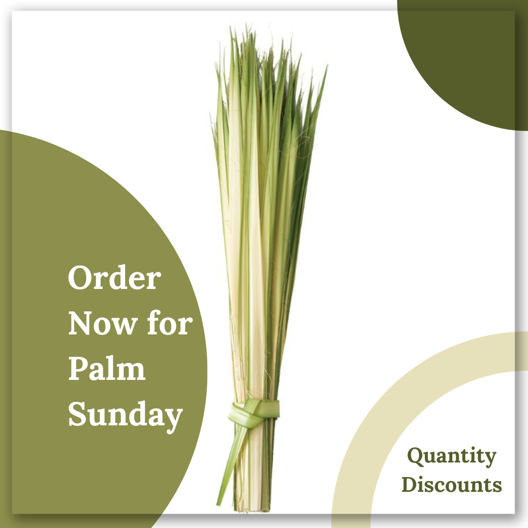 Palm Sunday Palm Strips - Fresh Palm Leaves — A&M Palm