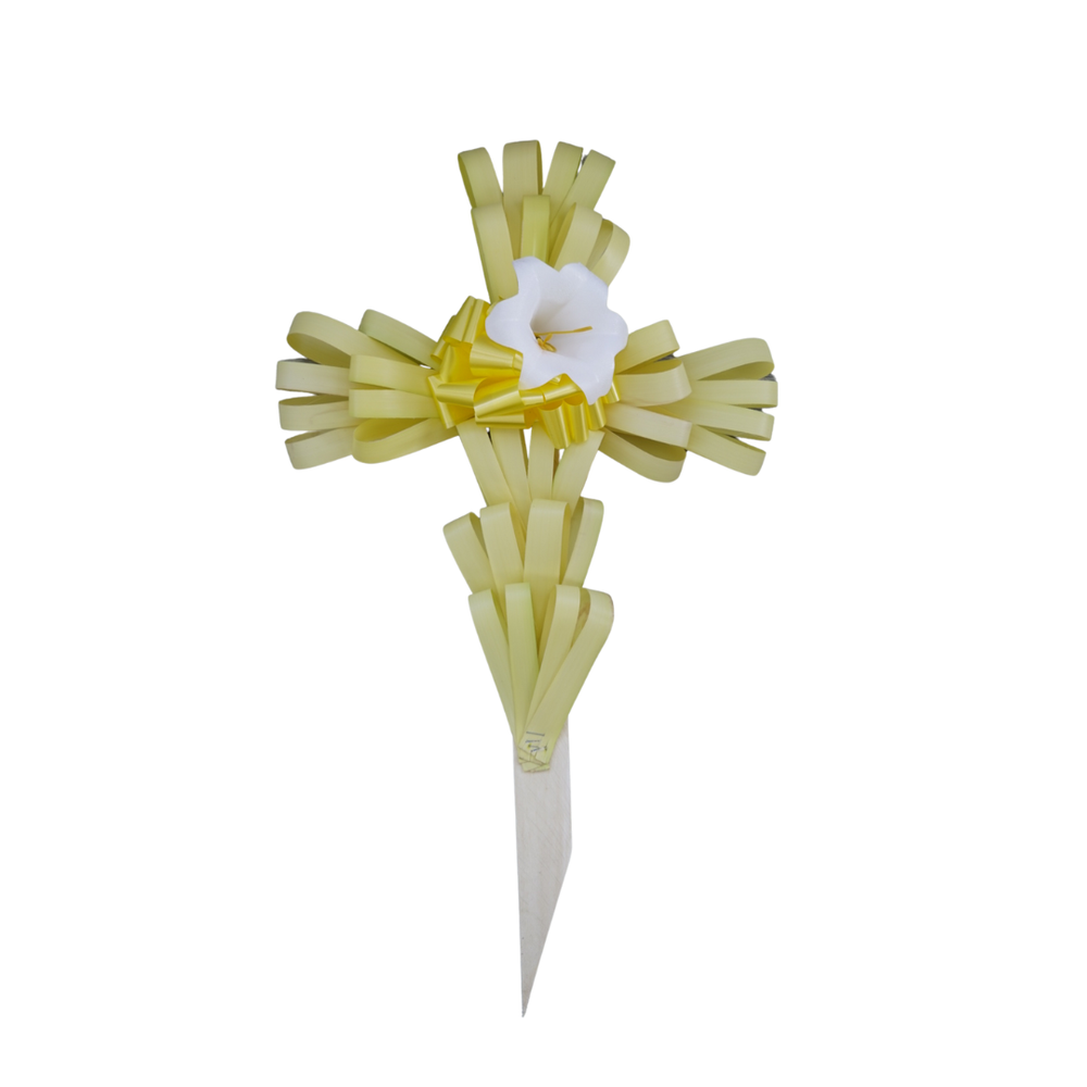 A&M Palm - Premium palm strips for Palm Sunday