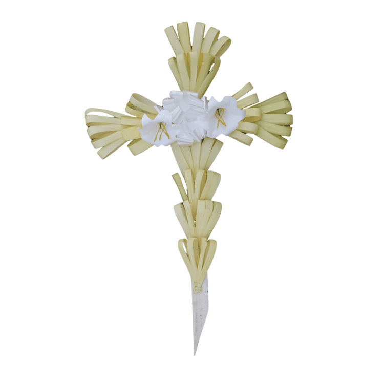 Palm Crosses — Fresh Palm Straight From Our Farm — A&M Palm
