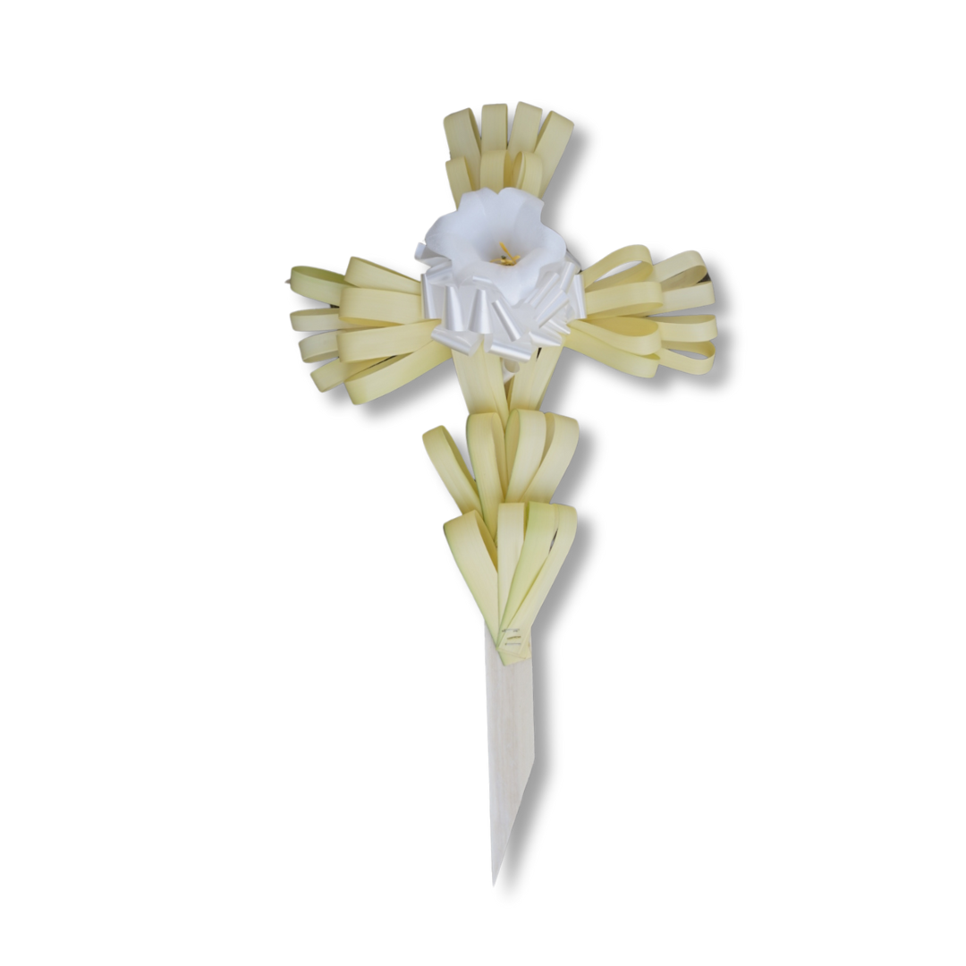 Palm Crosses — Fresh Palm Straight From Our Farm — A&M Palm