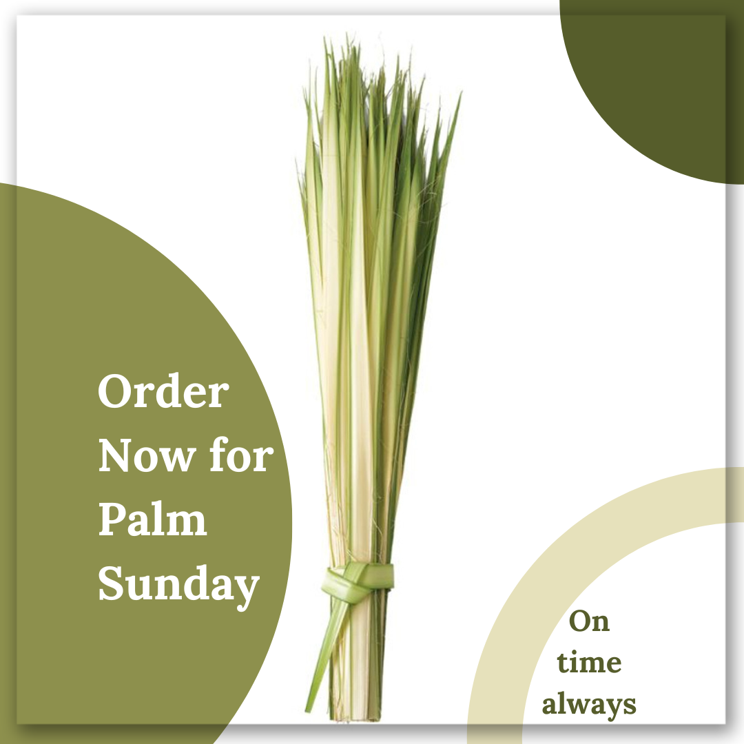 A&M Palm - Premium palm strips for Palm Sunday