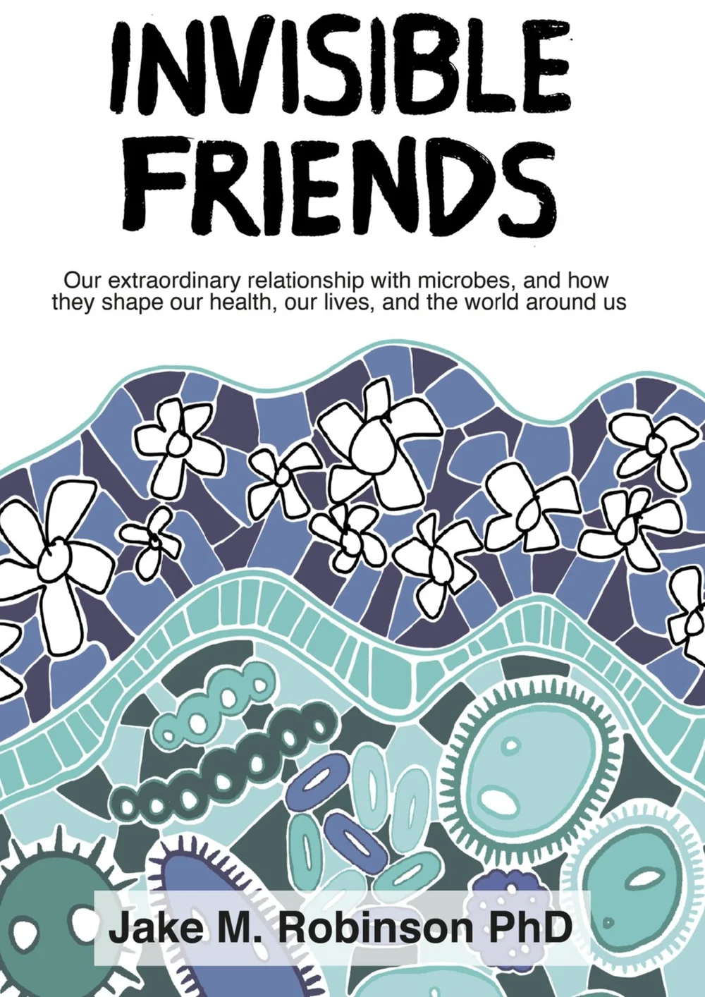 Invisible Friends — Invisible Friends by Jake M. Robinson