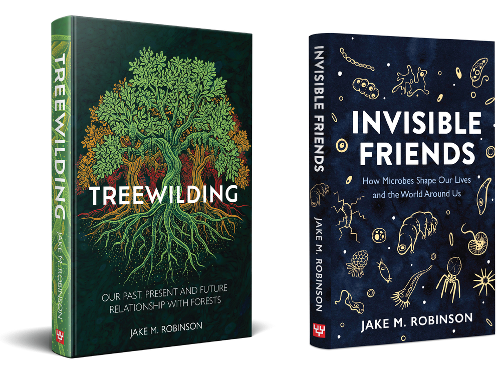 Invisible Friends by Jake M. Robinson