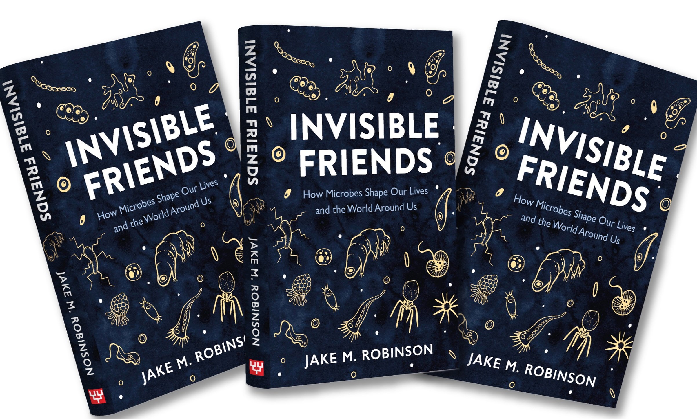 Invisible Friends by Jake M. Robinson