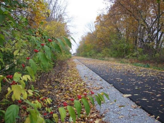 Winamac Area Attractions — Tortuga Inn