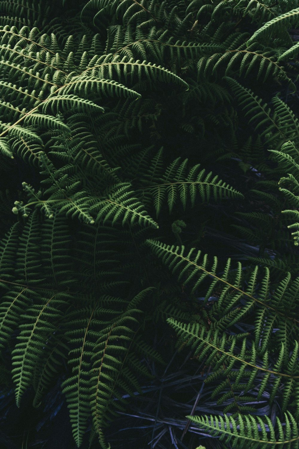 Root Cause Collective