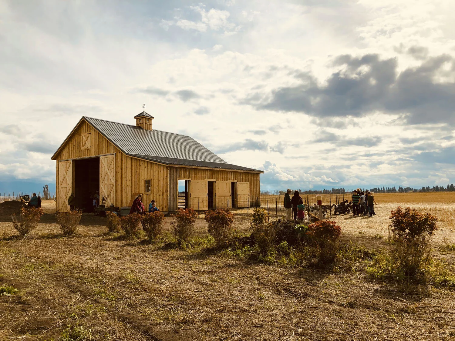 Sweet Pickin's Pumpkin Patch