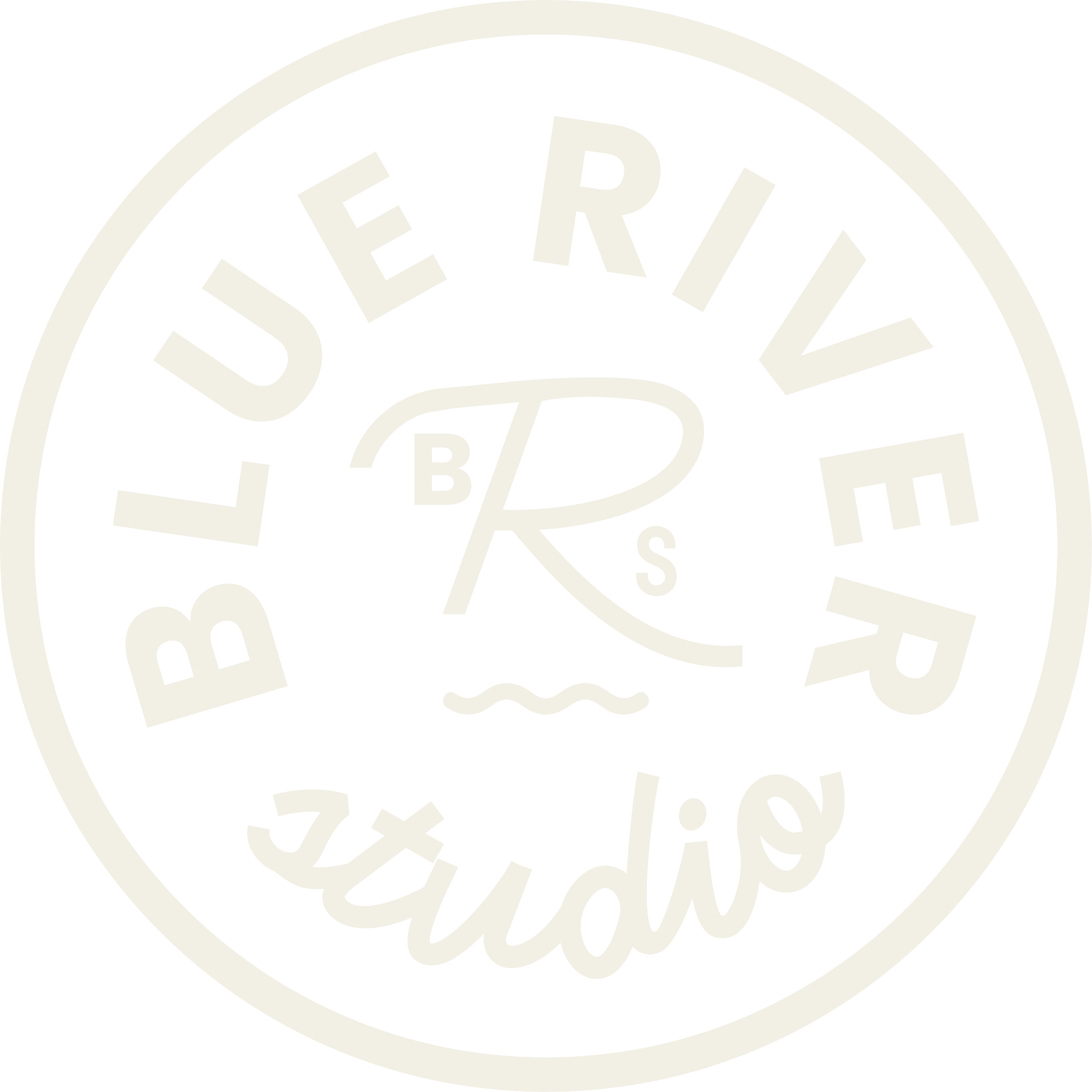 Custom Brand Identities — Branding & Graphic Design | Blue River Studio