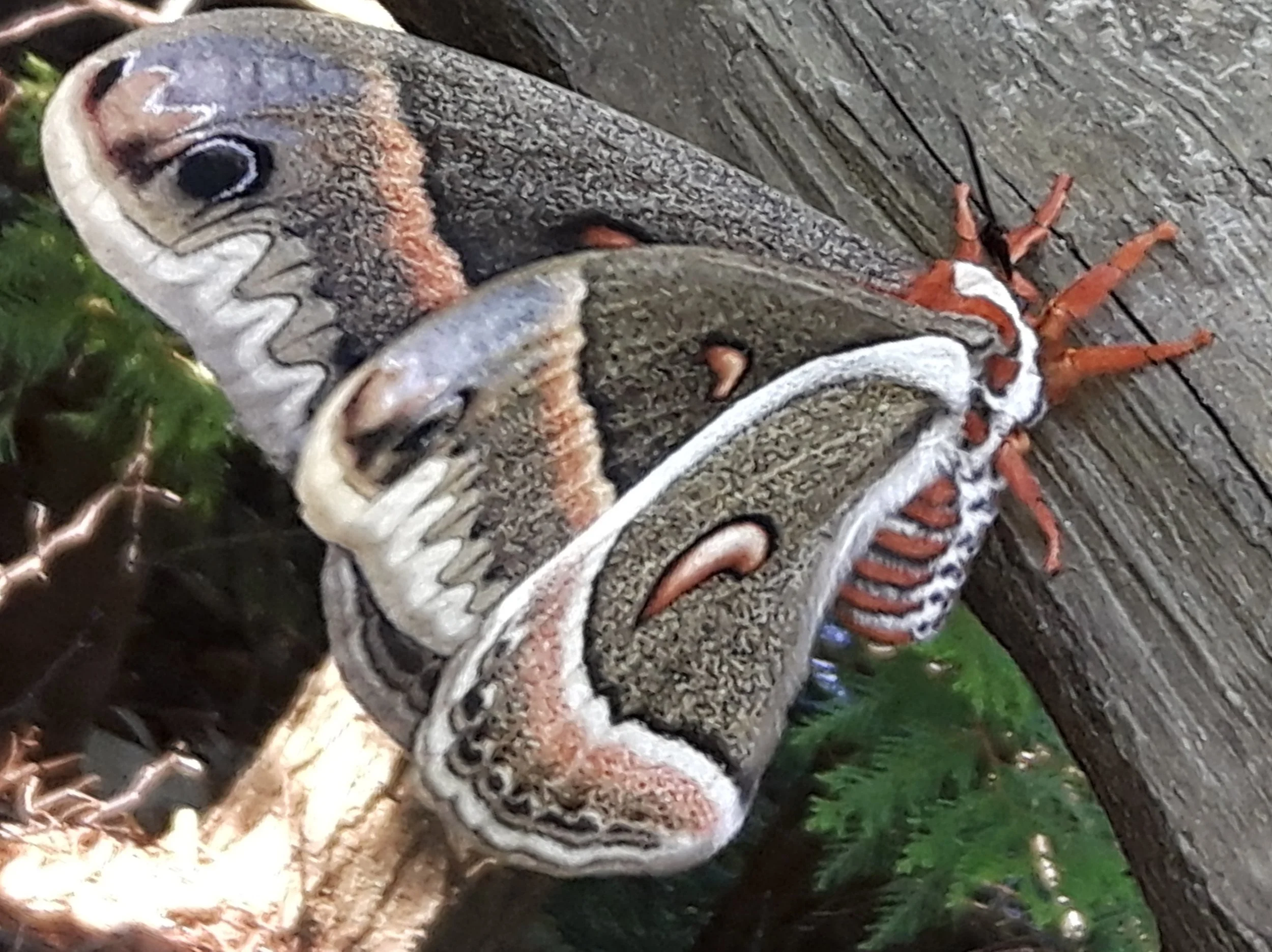 Gallery — Miskwabi Area Community Association