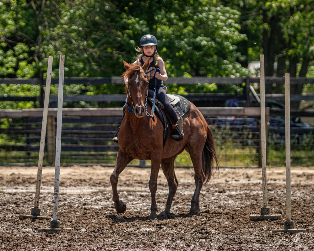 Gymkhana Explained — Keith J. Fisher.com