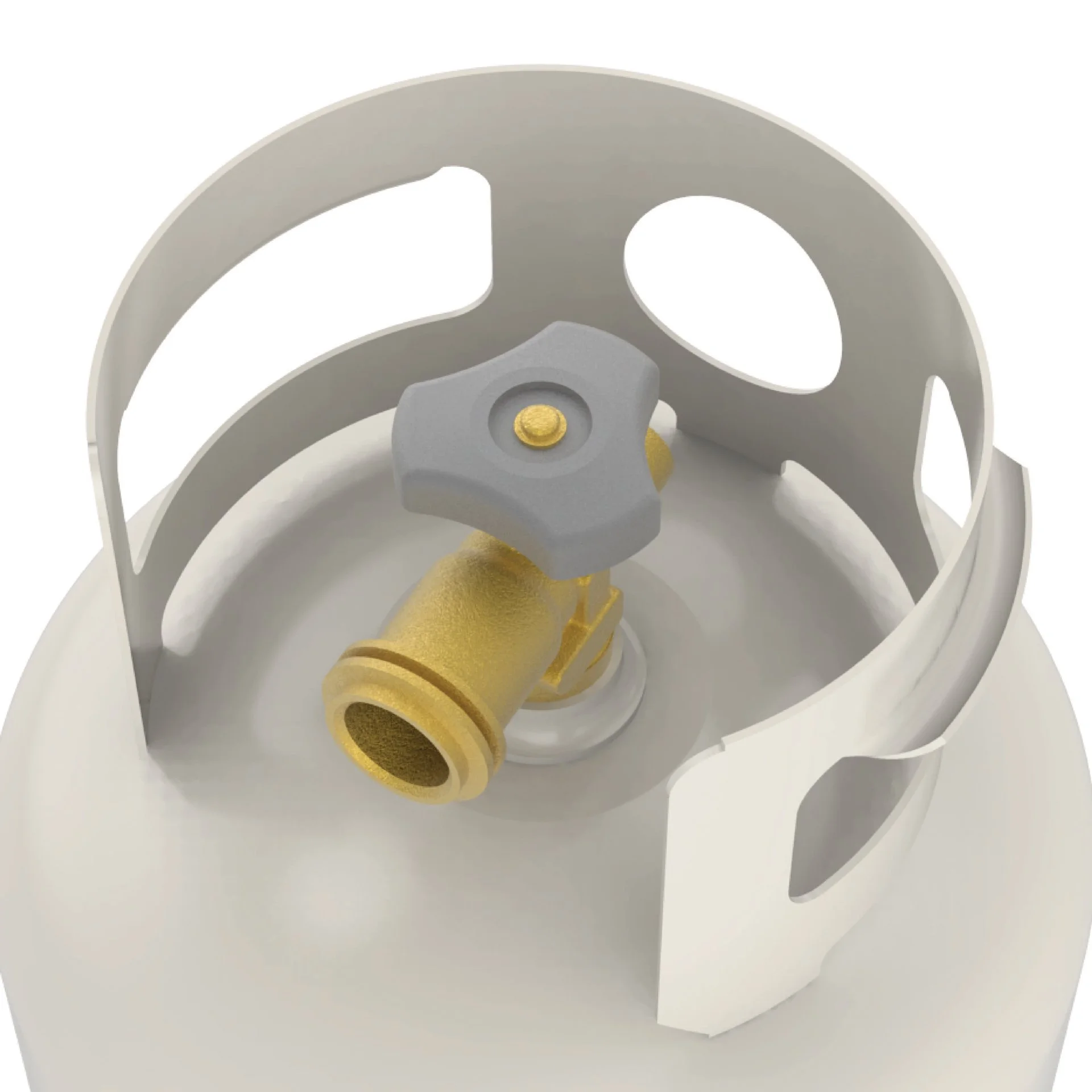 REFILLABLE TANK — Coleman Portable Propane Fuel Products