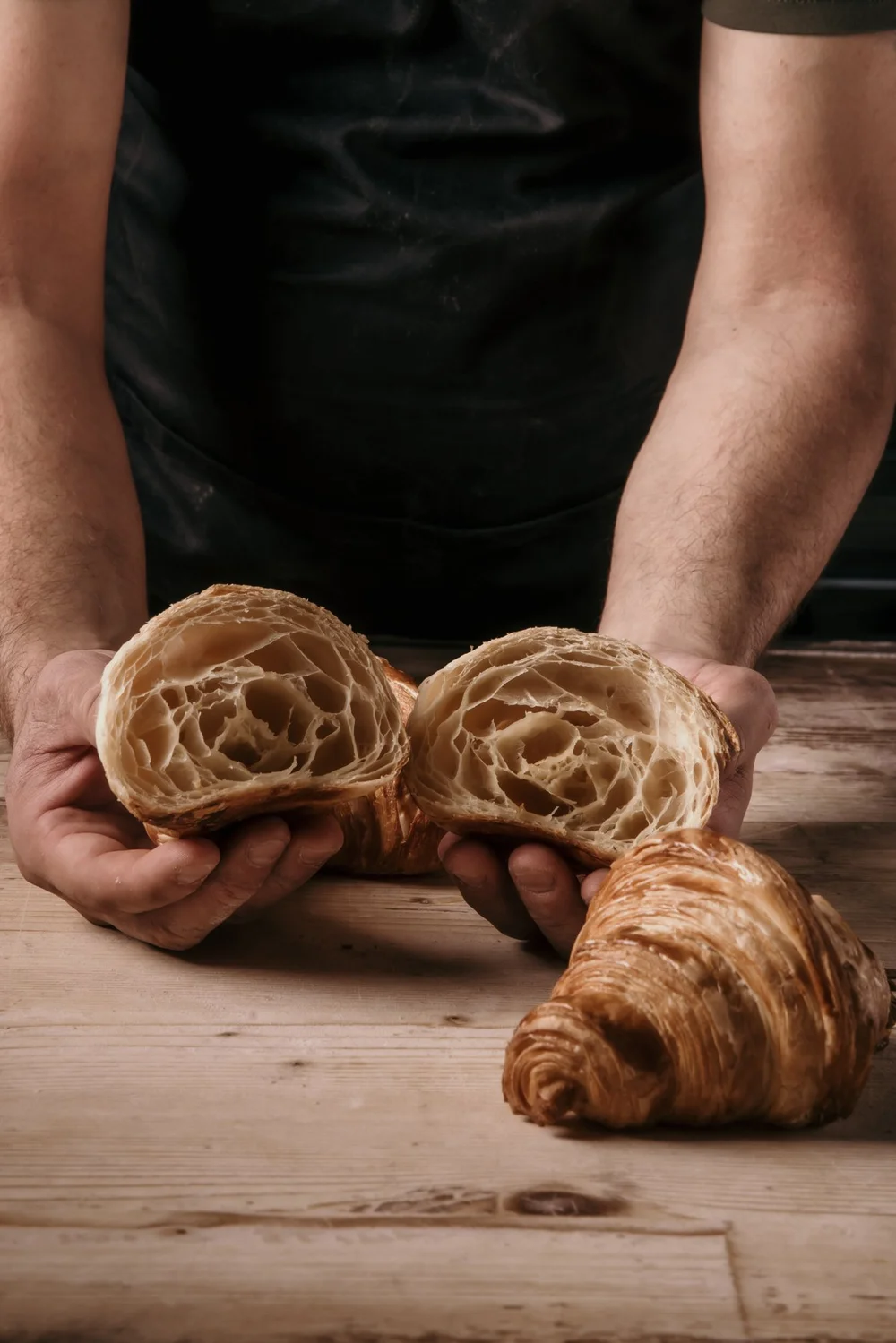 ERGON P.Mela — ERGON