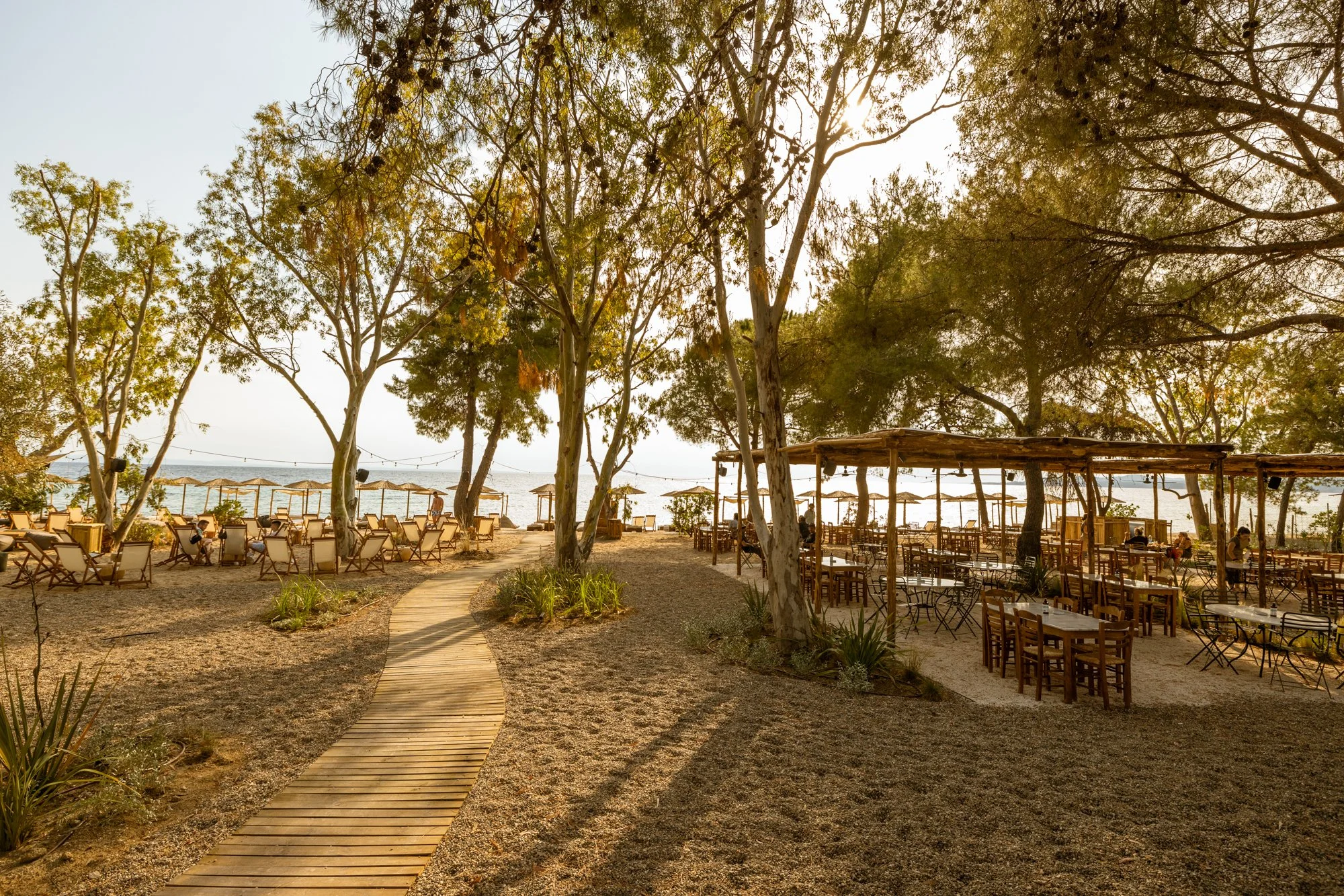 Beach House Menus — ERGON