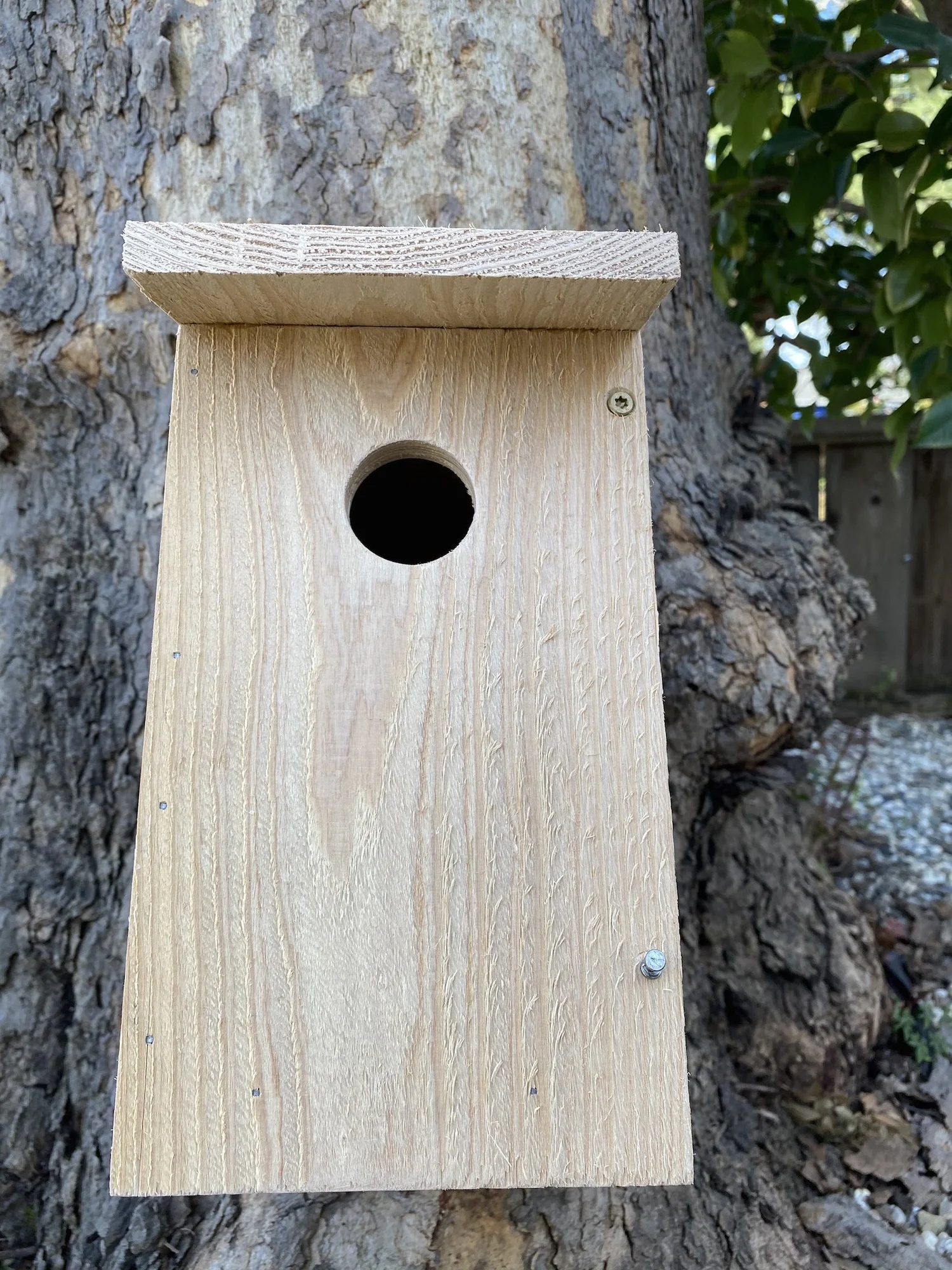 Eastern Bluebird House (Cedar, Sealed) — Amador Barn Owl Box Company