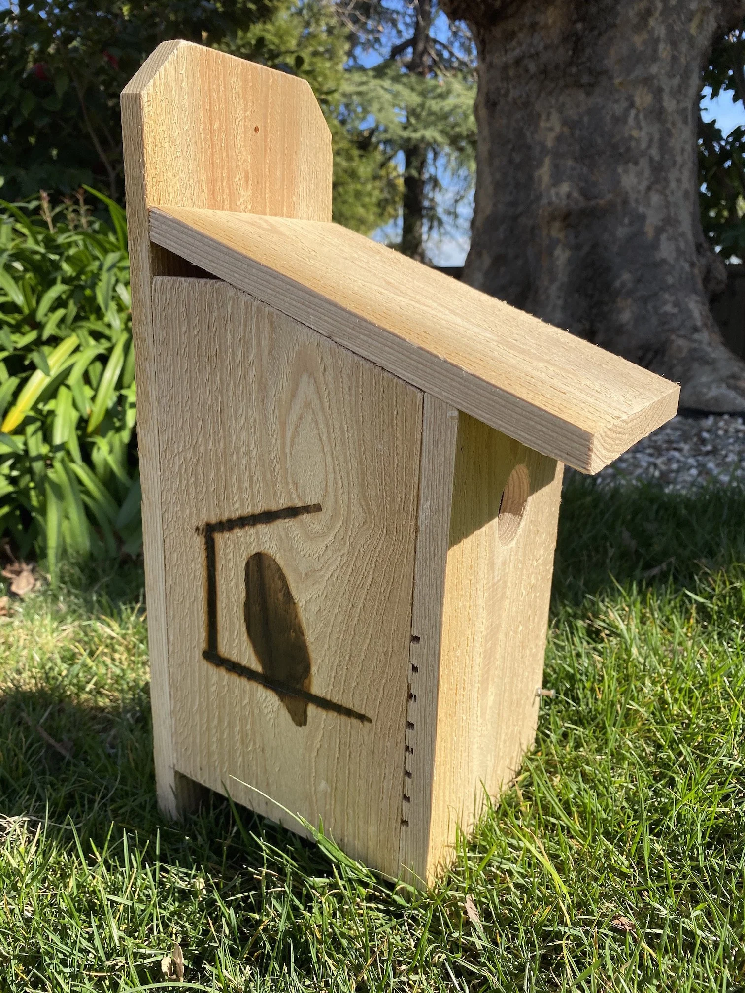 Eastern Bluebird House (Cedar, Sealed) — Amador Barn Owl Box Company