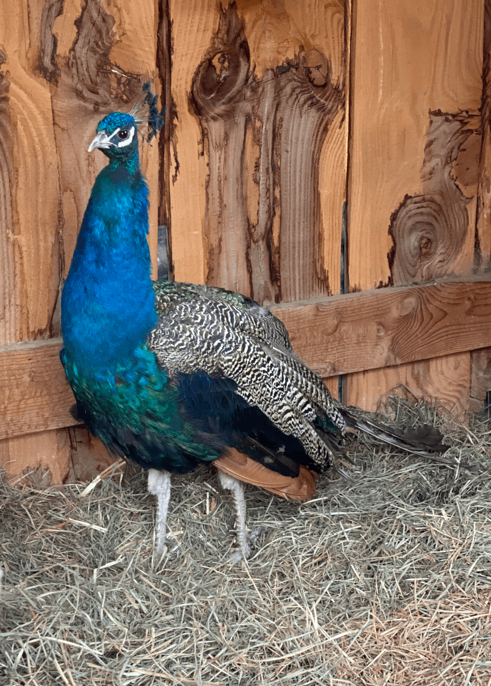 Our Resident Family — Ridge 2 River