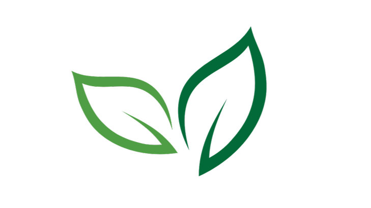 Supportive Housing — Alcott