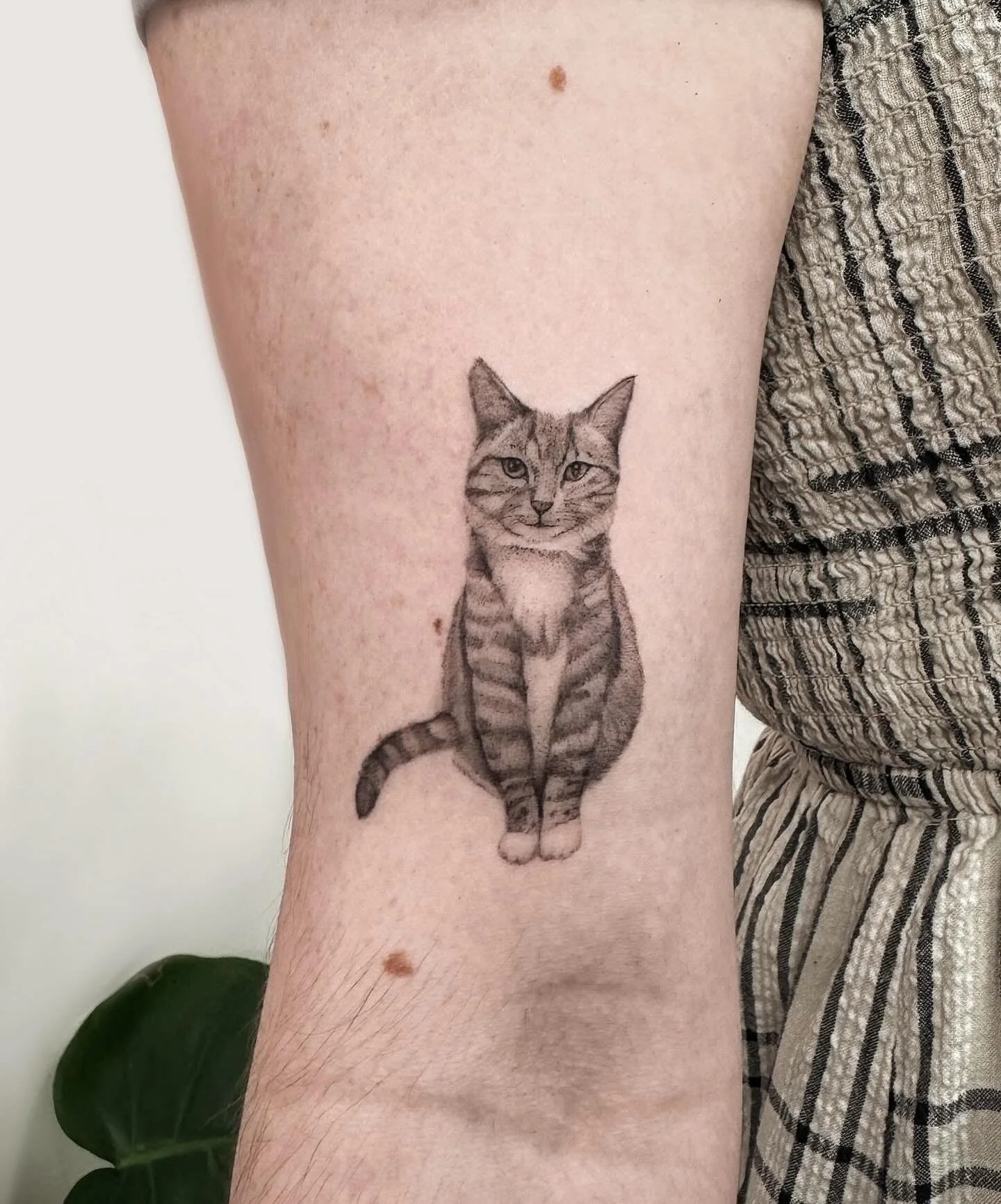 Sunset Tattoo