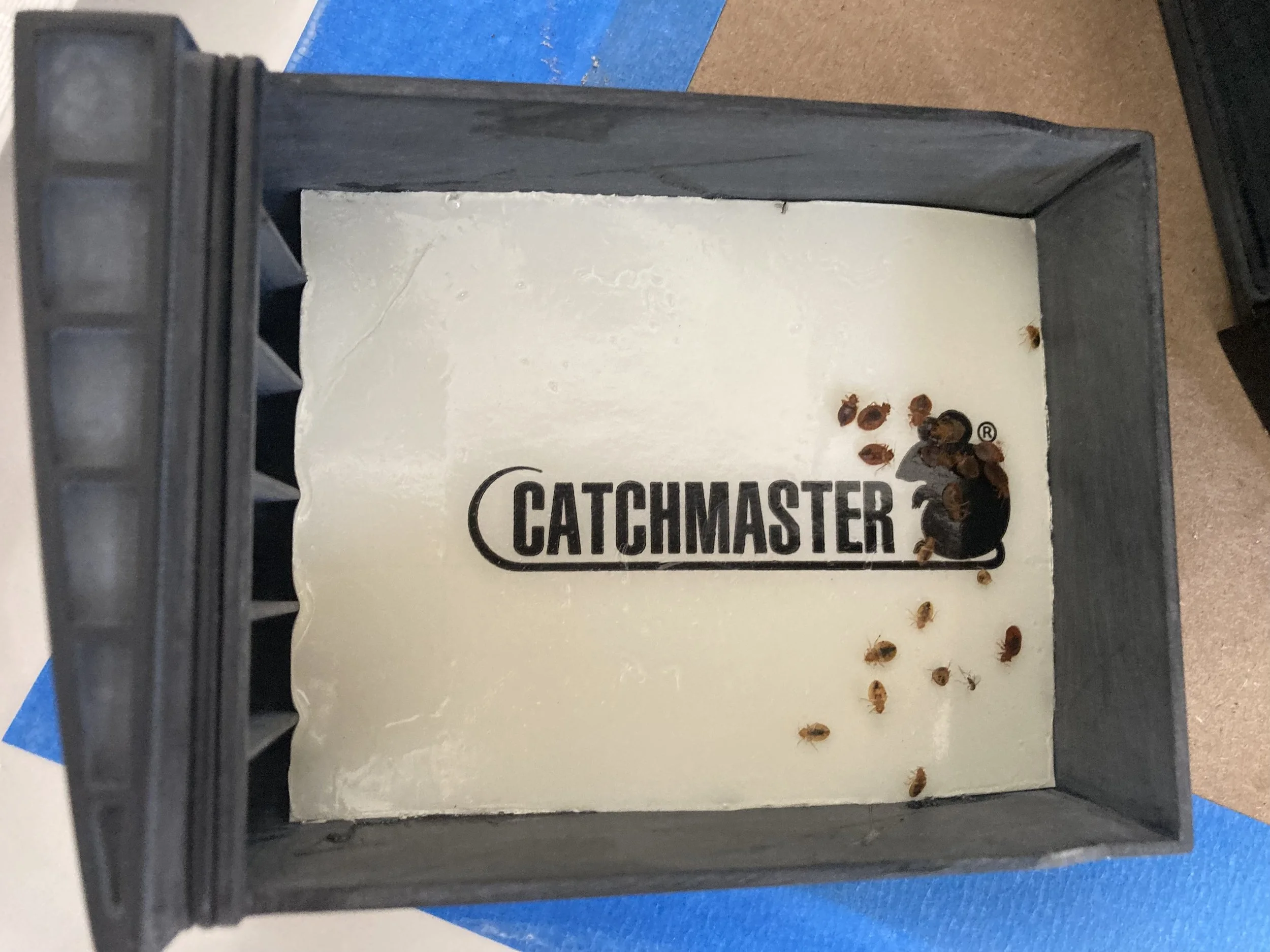 How It Works — Bugsy