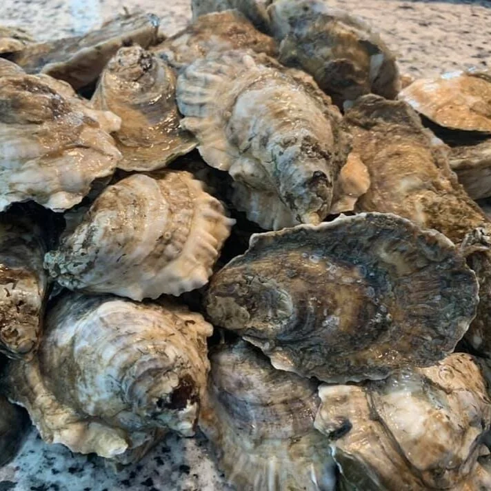 Products — Shore Coastal Seafood
