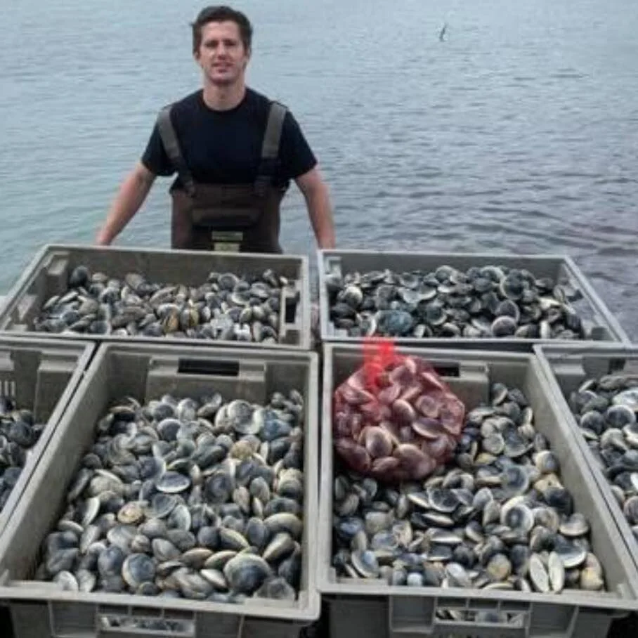 About — Shore Coastal Seafood