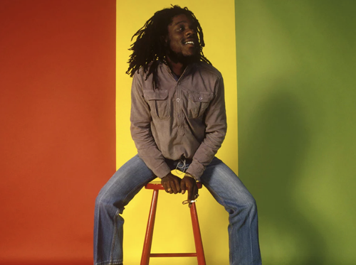 20+ Caribbean Figures Who Changed Reggae Music — CBN