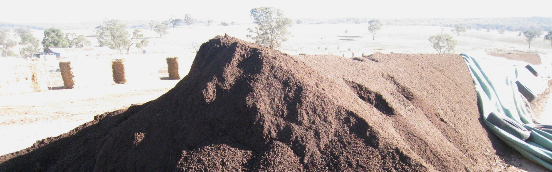 Compost Tea Extractors — Ylad Living Soils