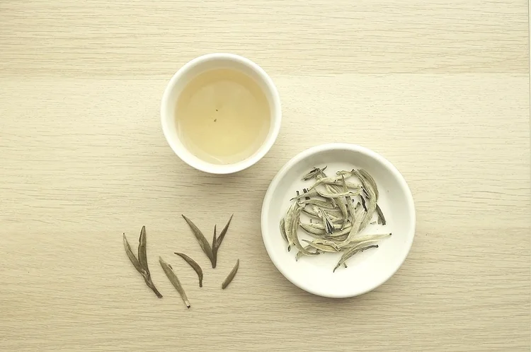 The In-Depth Guide to Silver Needle White Tea — Tea Curious