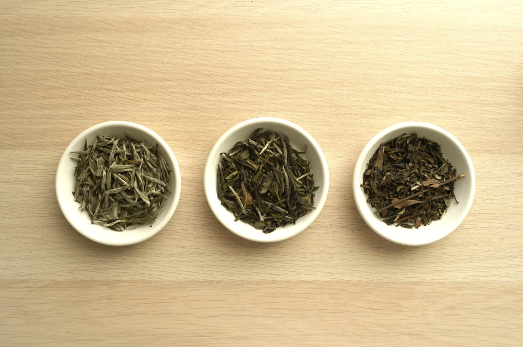 The In-Depth Guide to Silver Needle White Tea — Tea Curious
