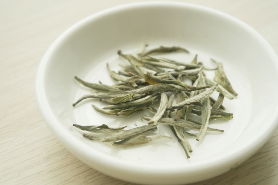 The In-Depth Guide to Silver Needle White Tea — Tea Curious