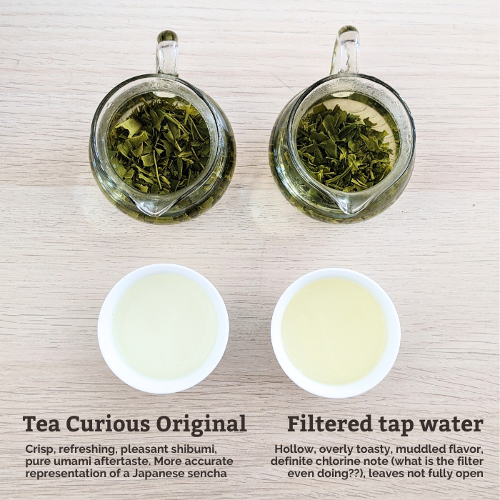 Tea Curious Water - Original — Tea Curious