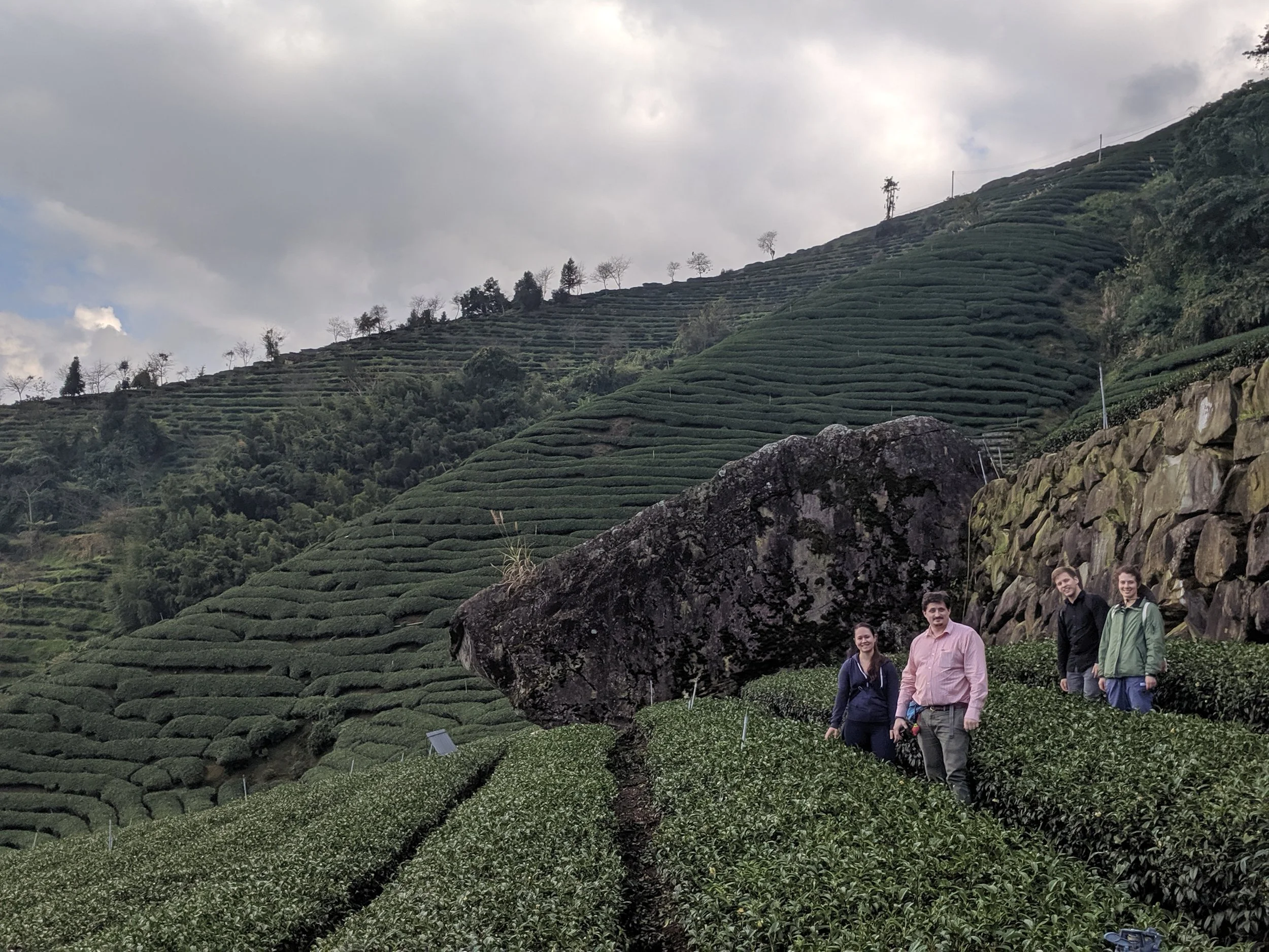 Tea Tour — Tea Curious