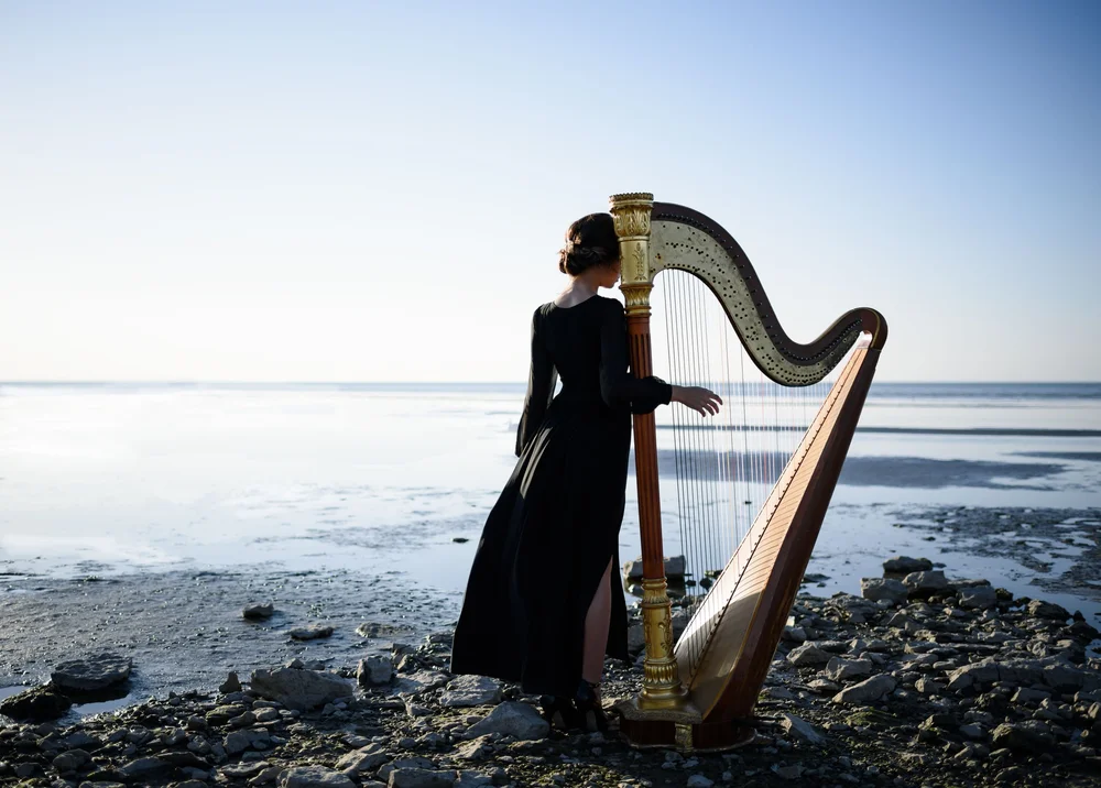 Our Story — North Shore Strings