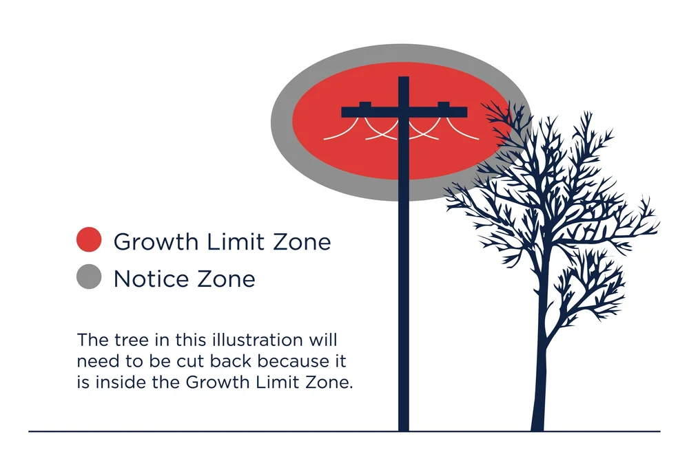 TREES & VEGETATION — Marlborough Lines