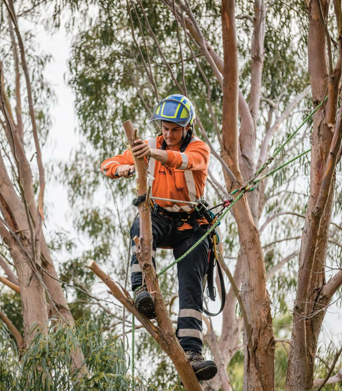 Careers — Marlborough Lines
