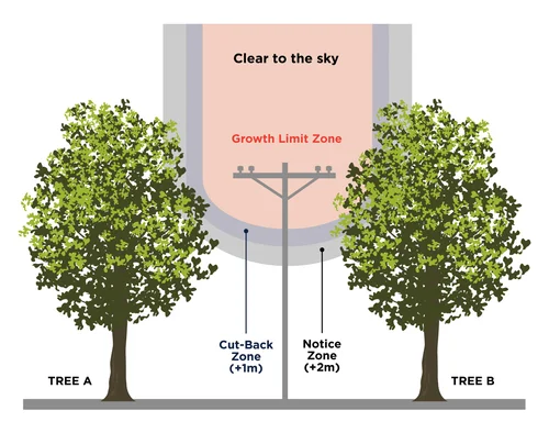 TREES & VEGETATION — Marlborough Lines