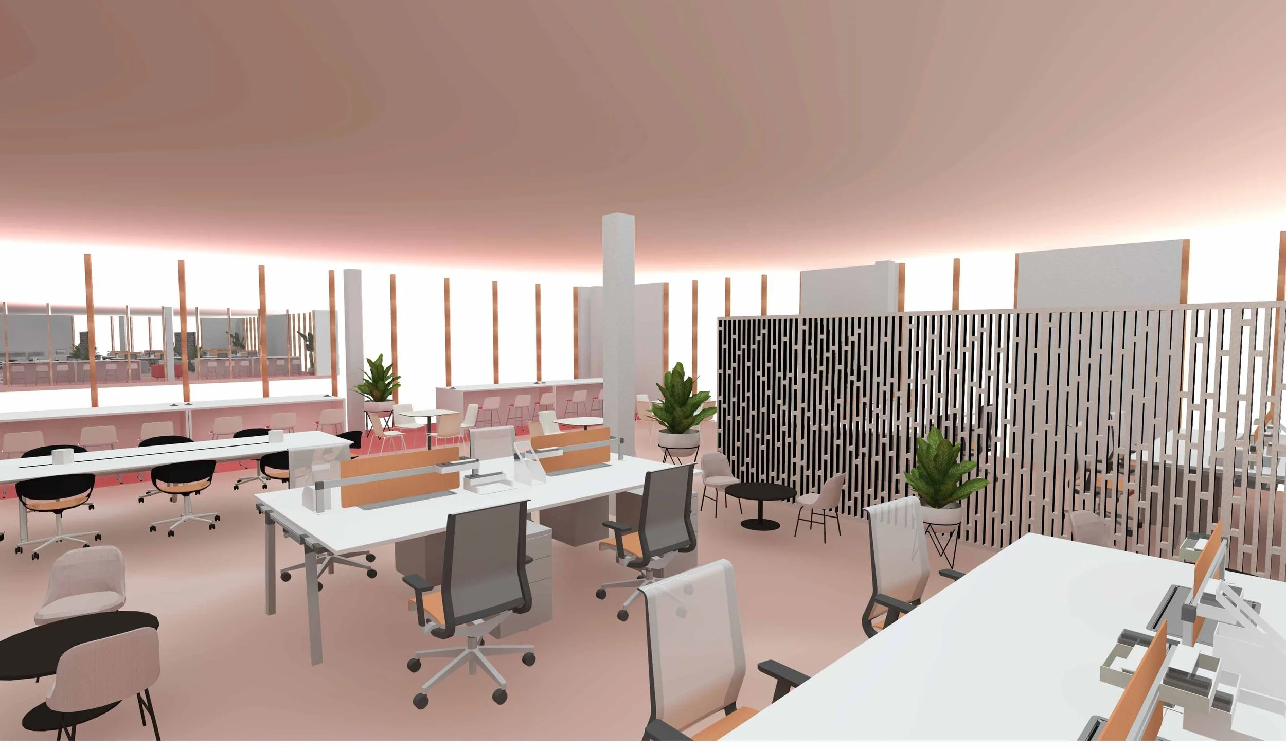 Workplace Design — Serena Zoe Craddock