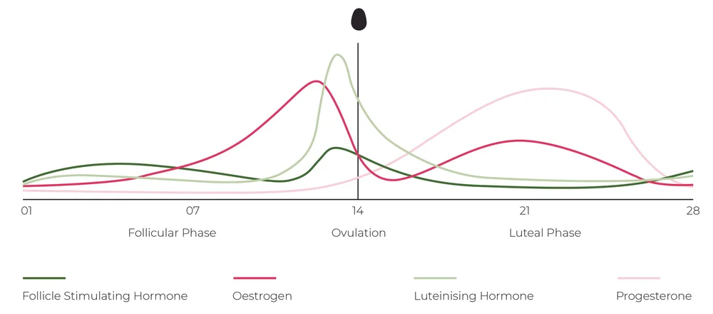 Menstrual cycle red flags — Emma Krieg Womens Health Dietitian